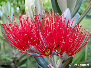 Index [loyalnz.co.nz]