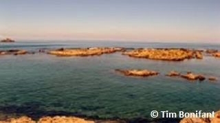 Index [loyalnz.co.nz]